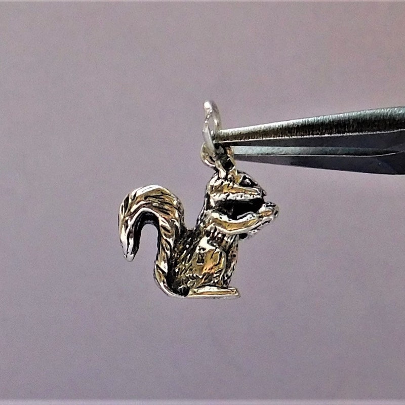 Squirrel Charms - Etsy