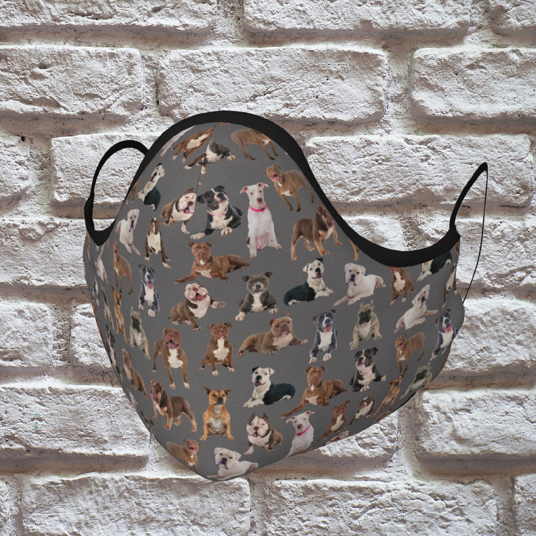 Bully Breed Face Mask With Filters | Bully Breed Lover Mask | Stylish ...
