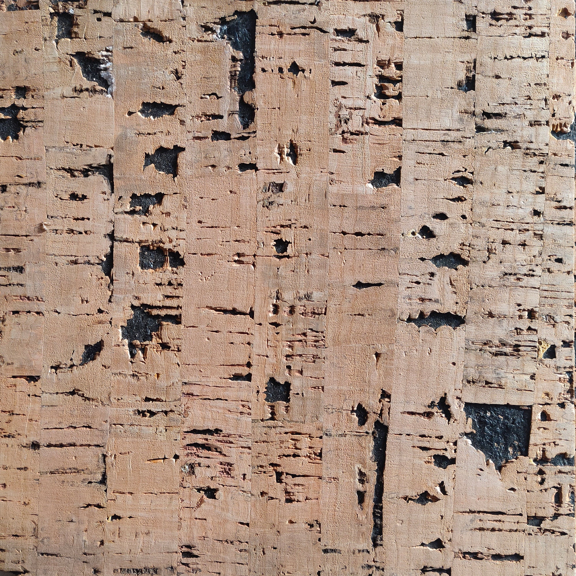 Eco Cork Wall Tiles, Natural Heat-insulating Decorative Cork Wall Tiles ...