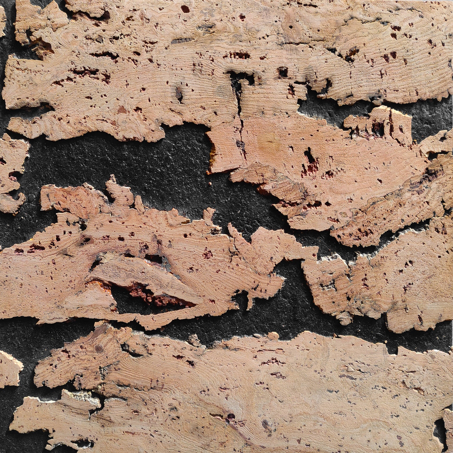 Eco Cork Wall Tiles, Natural Heat-insulating Decorative Cork Wall Tiles ...