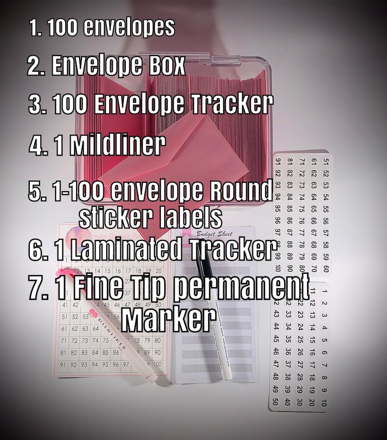 100 Envelope Challenge Box Kit - Etsy