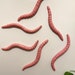 Worm Magnet, Polymer Clay Magnet, Pink Worm - Etsy