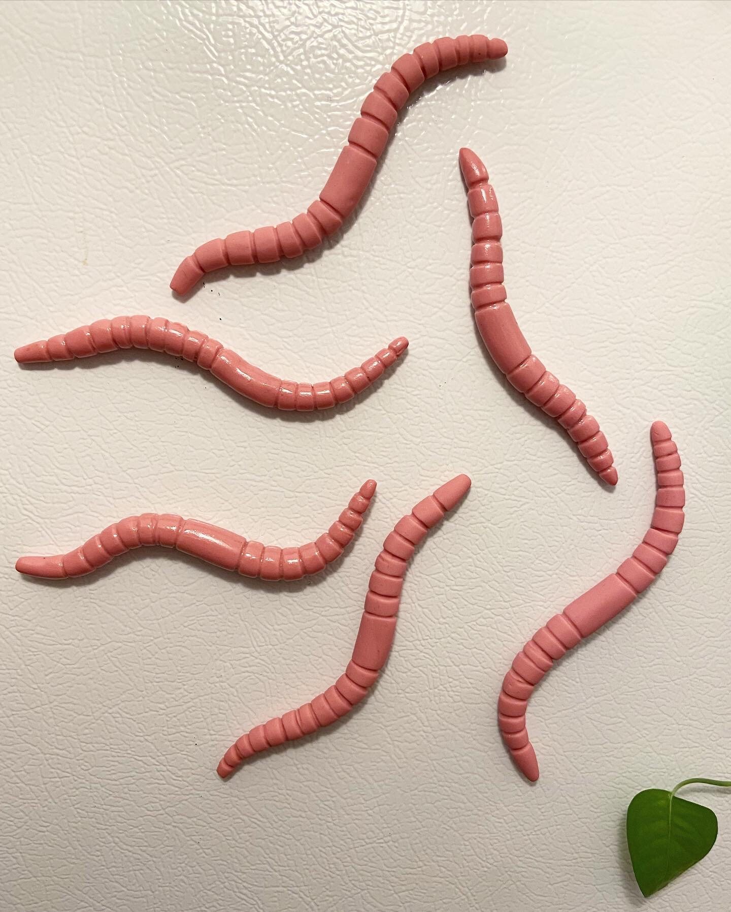 Worm Magnet Polymer Clay Magnet Pink Worm | Etsy