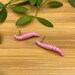 Worm Magnet, Polymer Clay Magnet, Pink Worm - Etsy