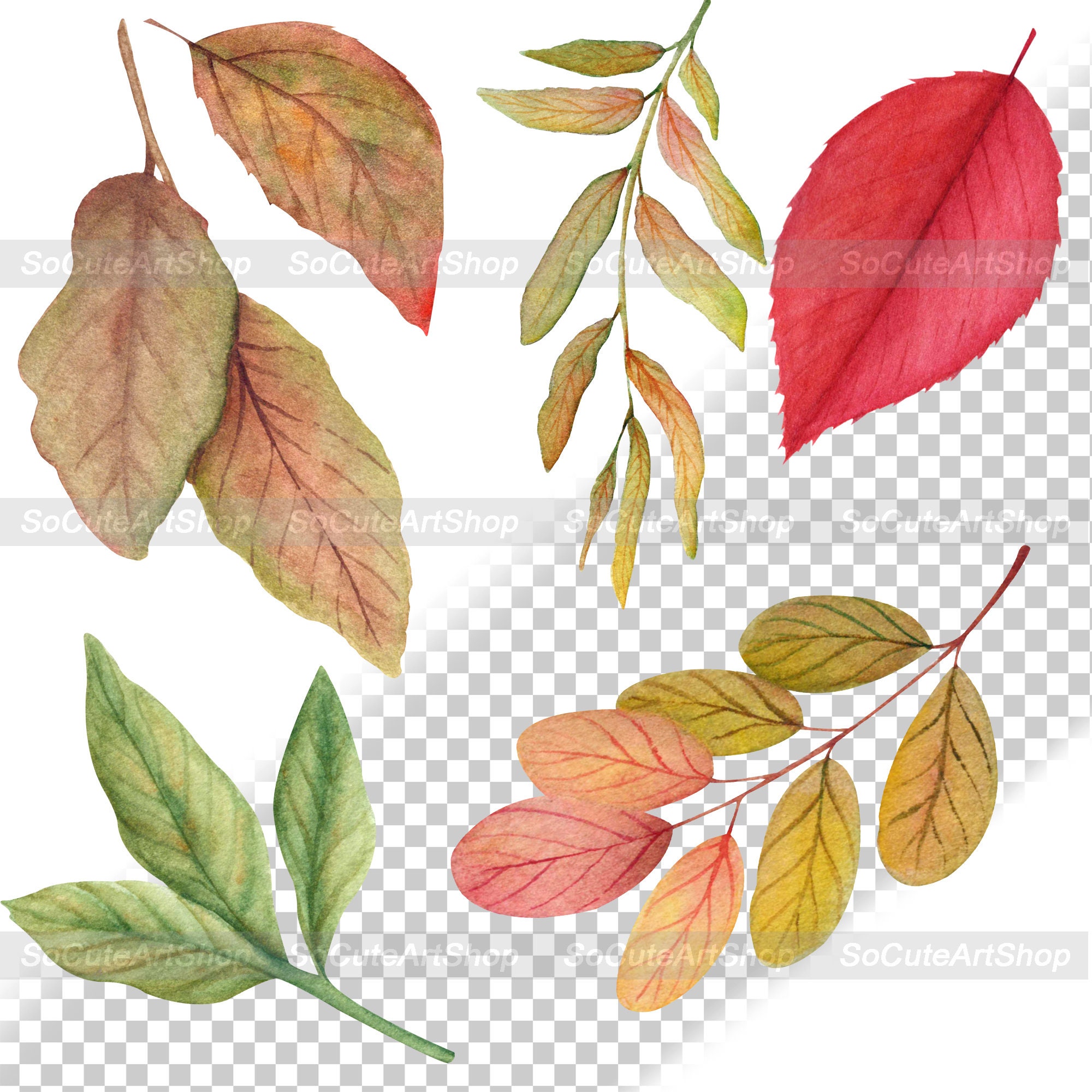 Watercolor Autumn Leaves and Mushrooms Clipart, Fall Elements Set ...