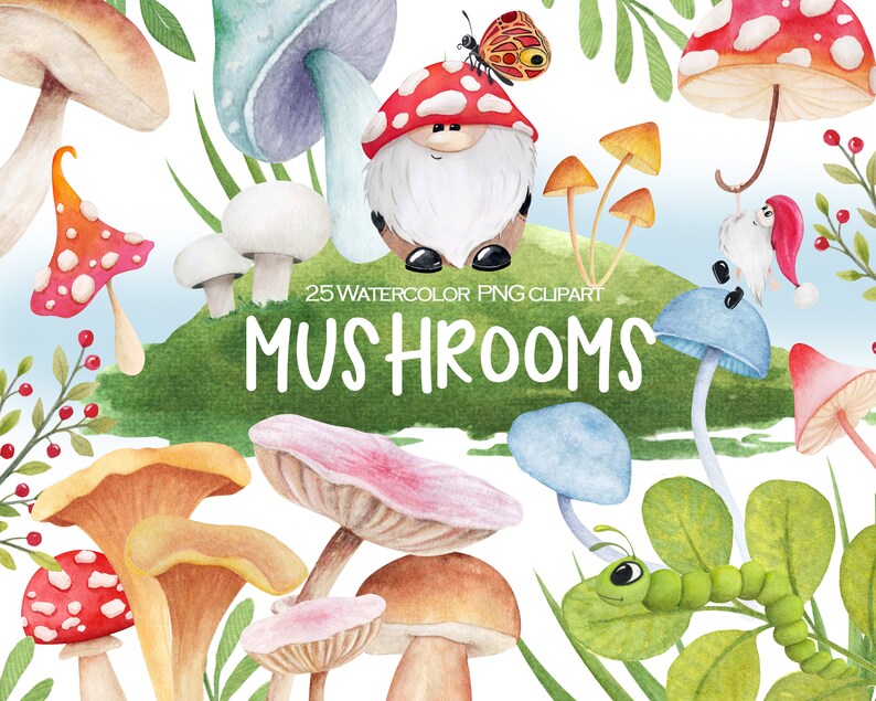 Watercolor Magic Mushroom Art PNG Clipart, Floral Clip Art, Kawaii ...