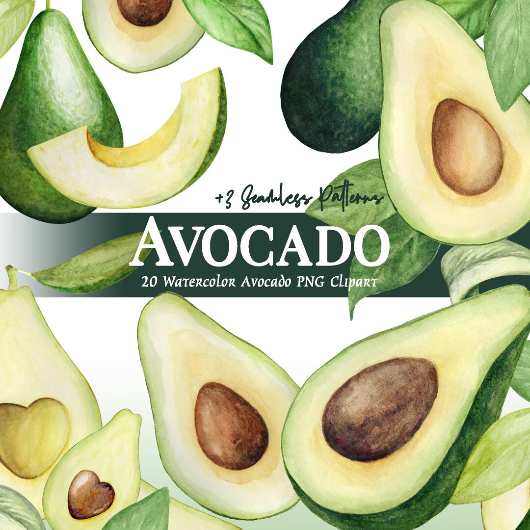 Watercolor Avocado Clipart Set, Hand Painted Clip Art, PNG, Digital ...