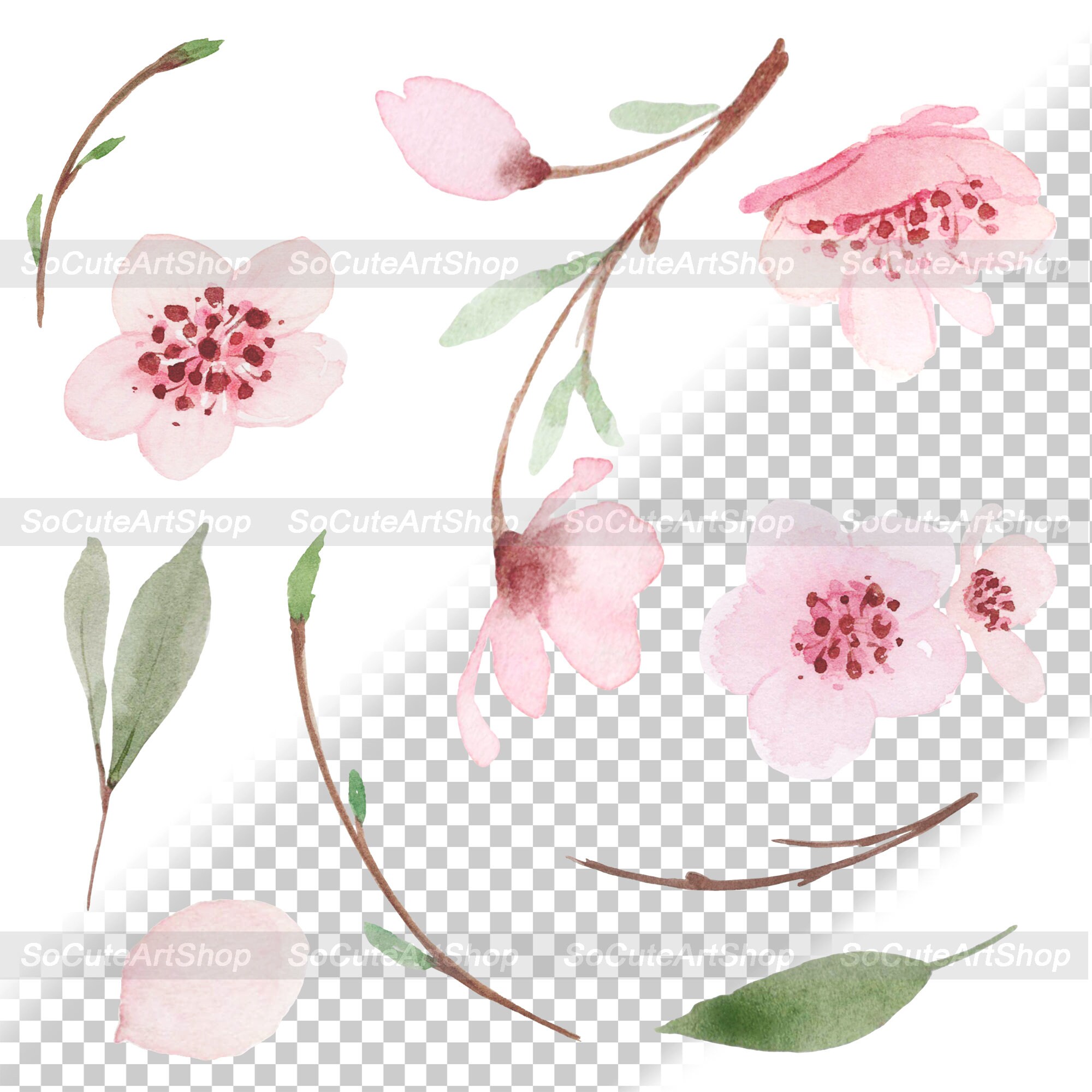 Watercolor Sakura. Cherry Blossom Png Clipart. Spring Flowers. - Etsy