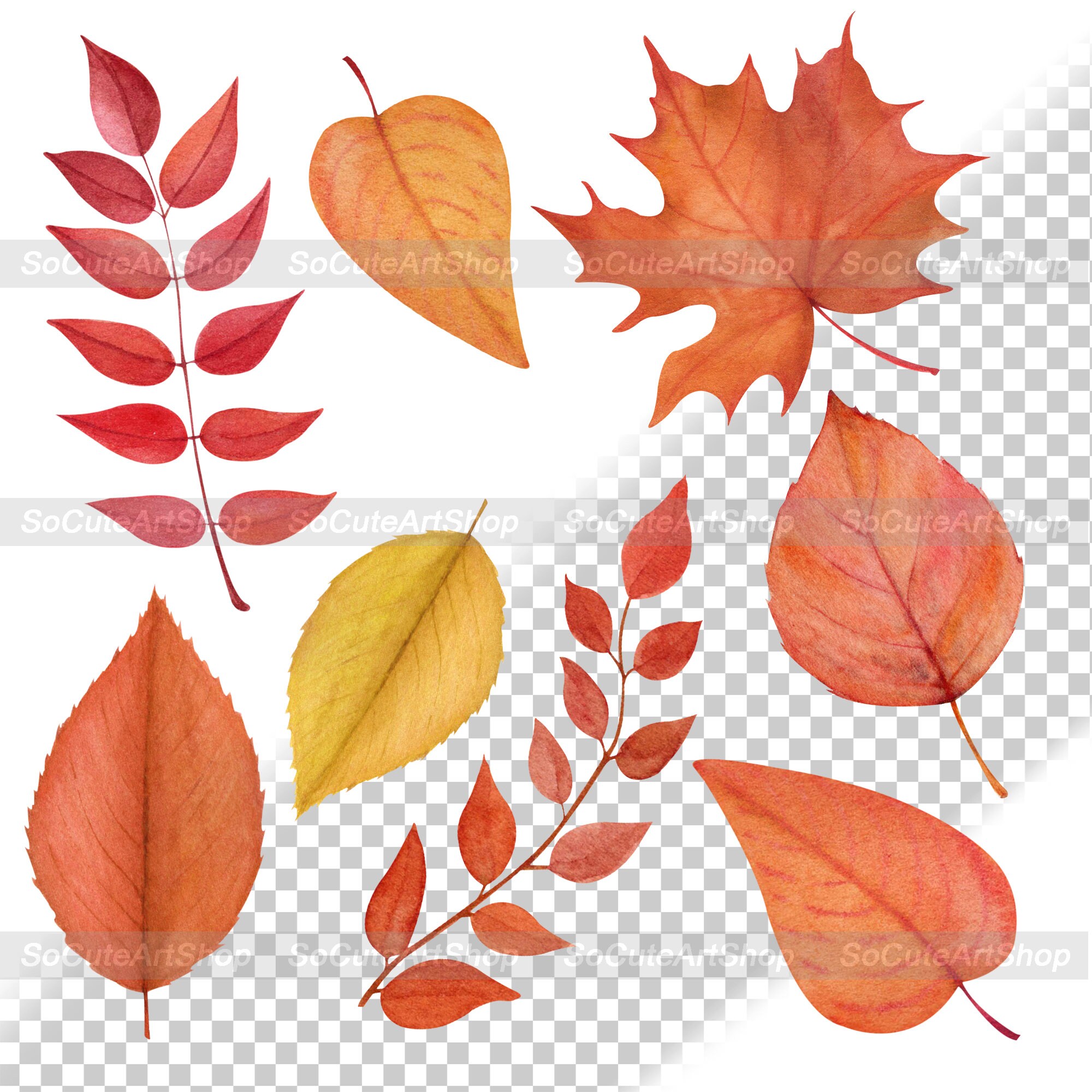 Watercolor Autumn Leaves and Mushrooms Clipart, Fall Elements Set ...