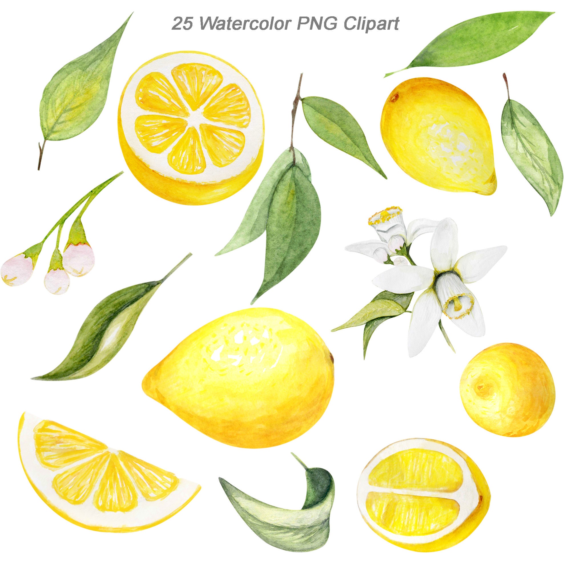 Watercolor Lemon Clipart Set,hand Painted Clip Art, PNG, Digital ...