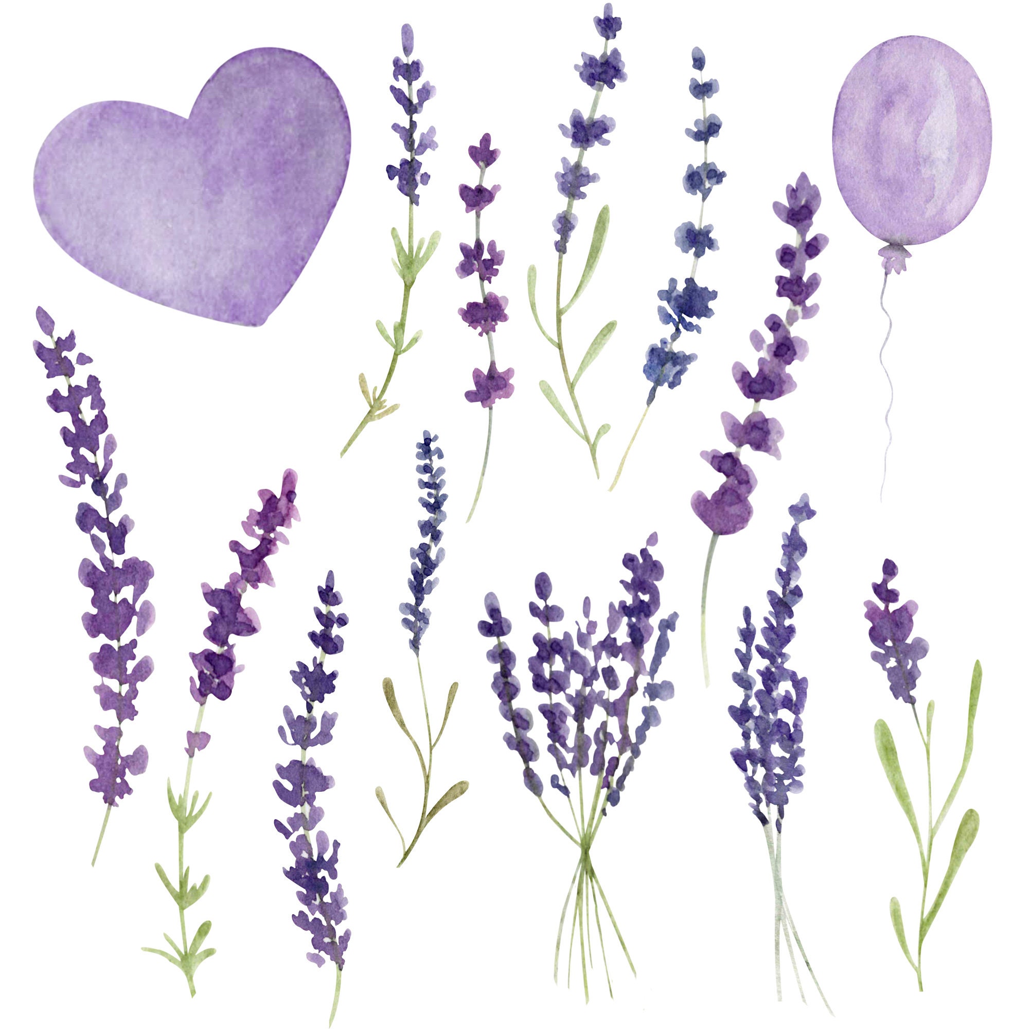 Watercolor Lavender Clipart Set Hand Painted Clip Art PNG - Etsy Canada