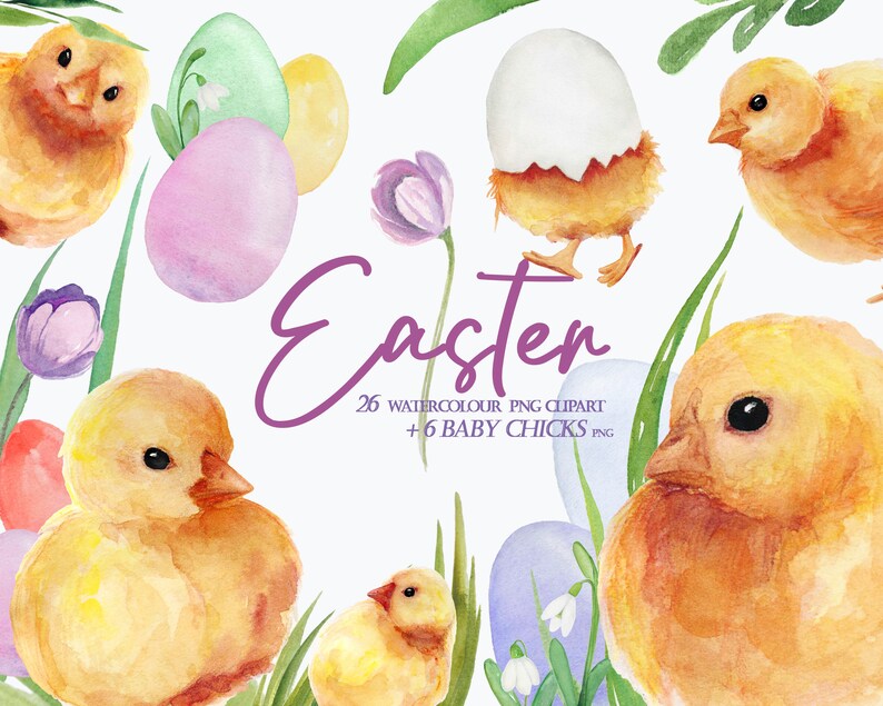 Watercolor Easter Clipart Spring Floral Clipart Baby Chicks - Etsy