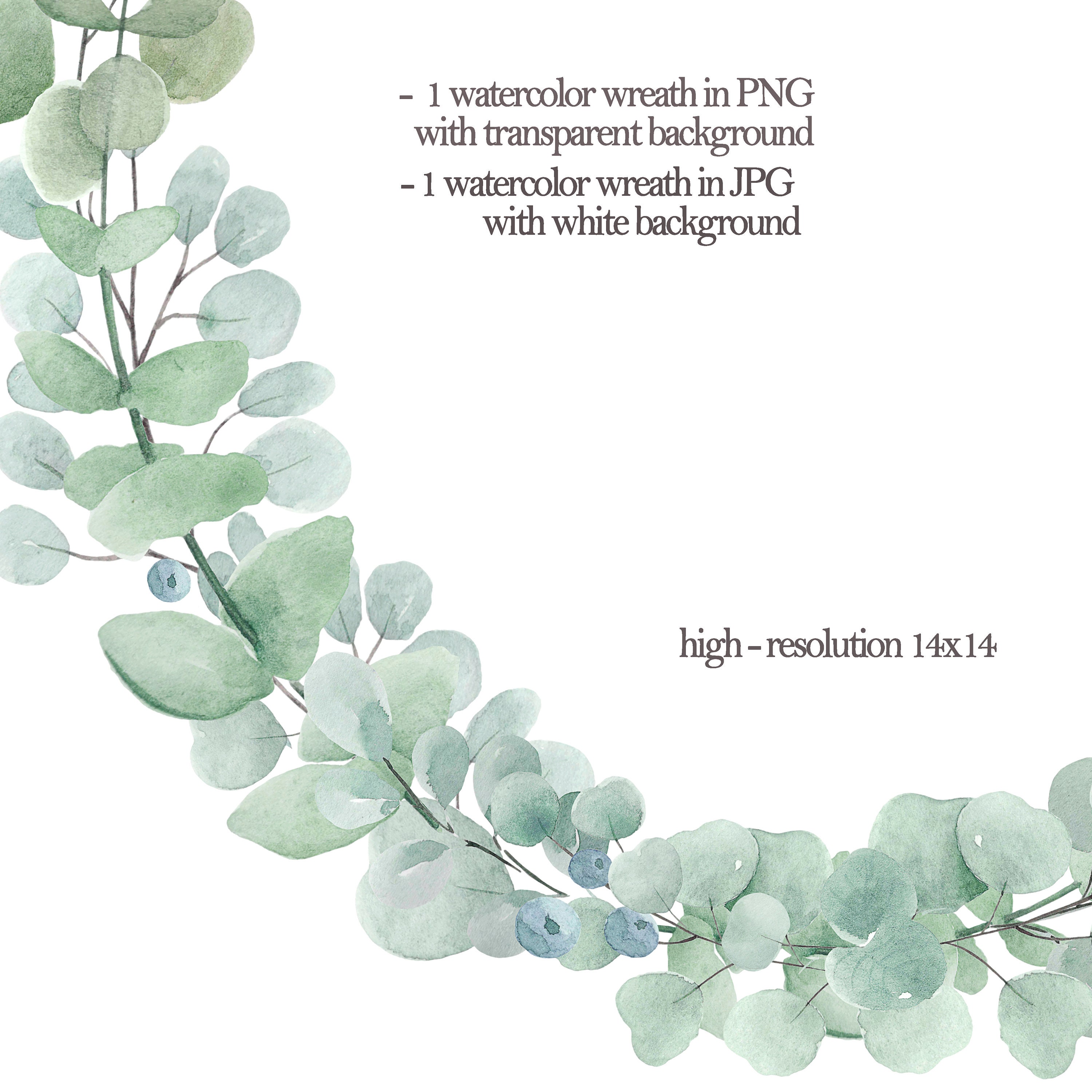 Watercolor Eucalyptus Wreath Clipart. Greenery Frames Eucalyptus Border ...