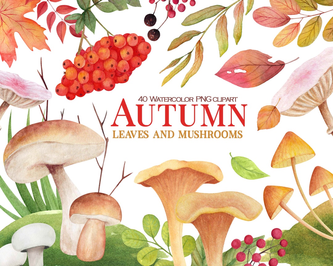 Watercolor Autumn Leaves and Mushrooms Clipart, Fall Elements Set ...