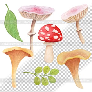 Watercolor Autumn Leaves and Mushrooms Clipart, Fall Elements Set ...