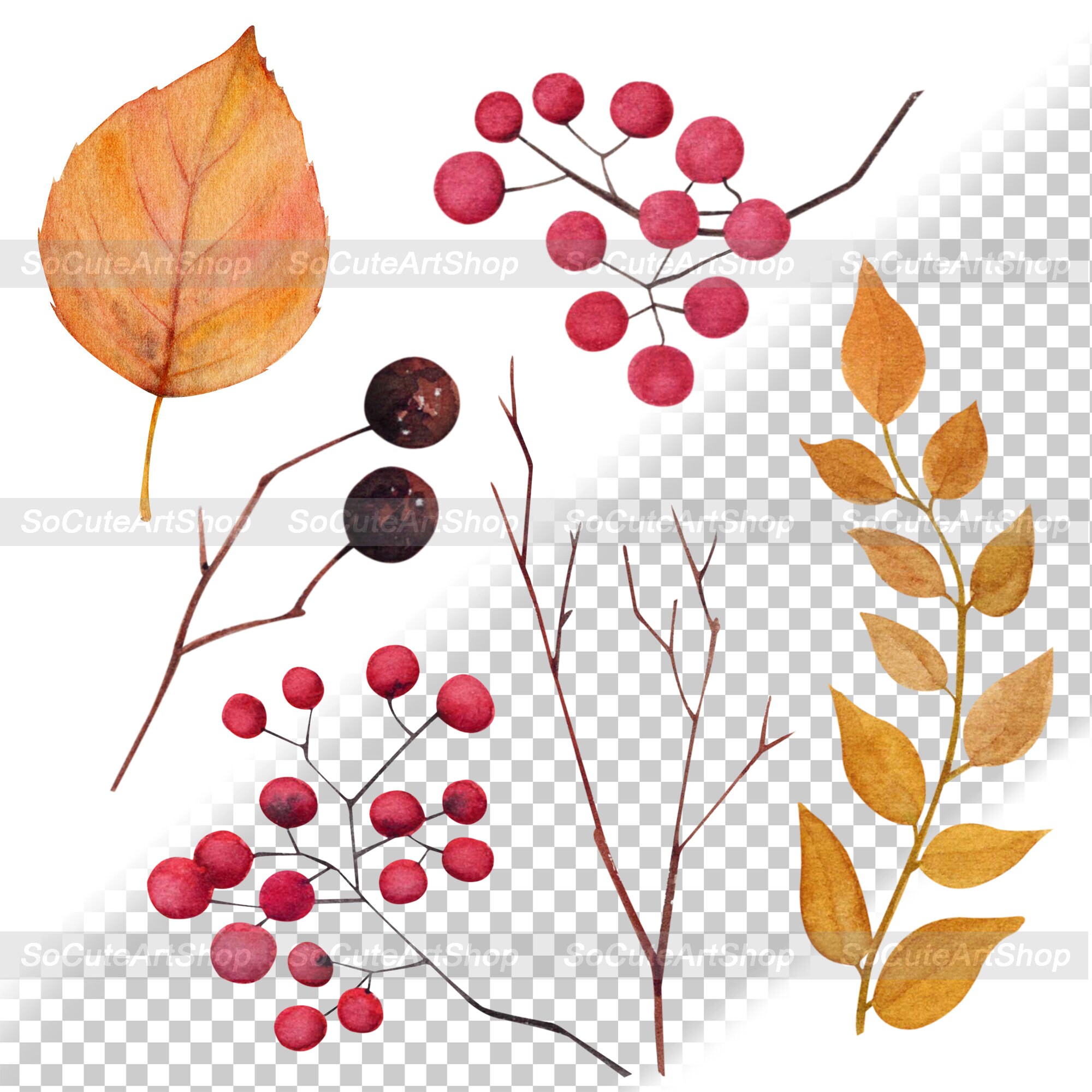 Watercolor Autumn Leaves and Mushrooms Clipart, Fall Elements Set ...