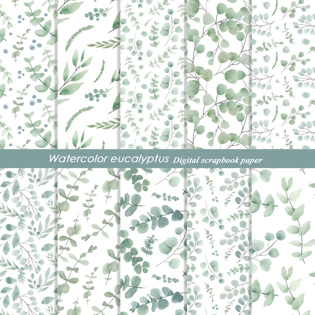 Watercolor Eucalyptus Patterns, Eucalyptus Print, Eucalyptus Leaves ...