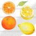 Watercolor Fruit Clipart Set, Summer Tropical Fruits Clipart Png ...