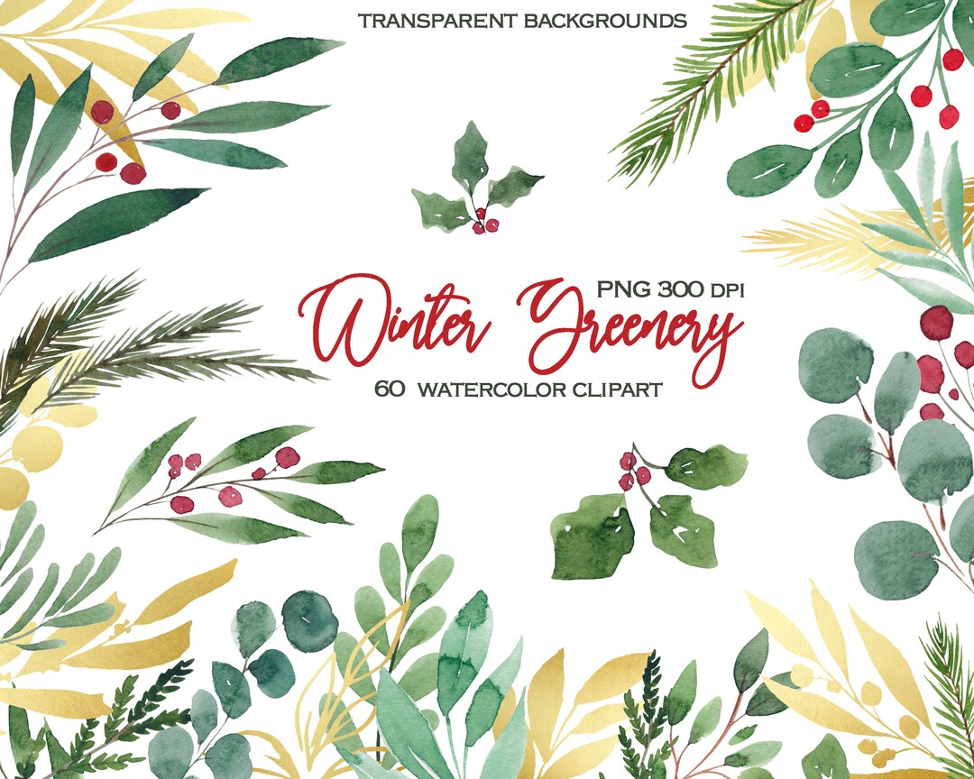 Christmas Watercolor Clipart . Winter Greenery Png. Christmas Floral ...