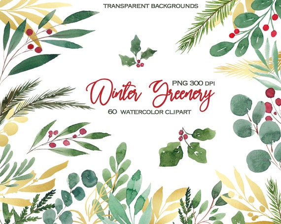 Christmas Watercolor Clipart . Winter Greenery Png. Christmas | Etsy