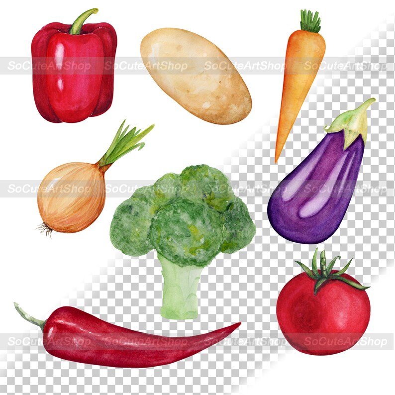 Watercolor Vegetable Clipart Set, Hand Painted Clip Art, PNG - Etsy