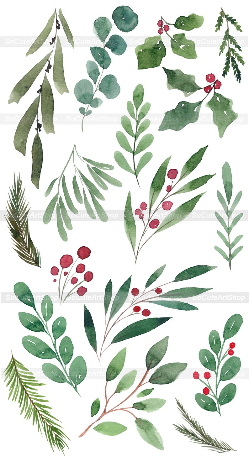 Christmas Watercolor Clipart . Winter Greenery Png. Christmas Floral ...