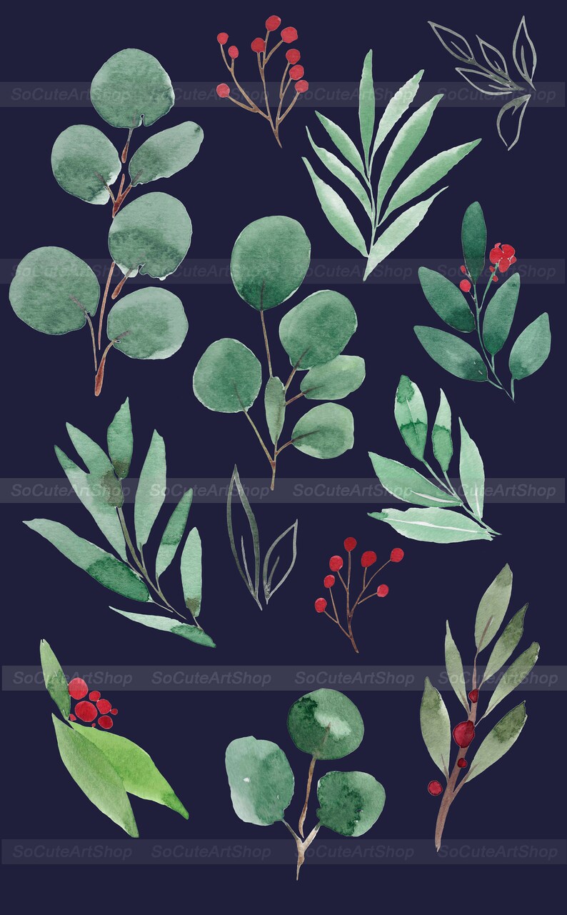 Christmas Watercolor Clipart . Winter Greenery Png. Christmas | Etsy