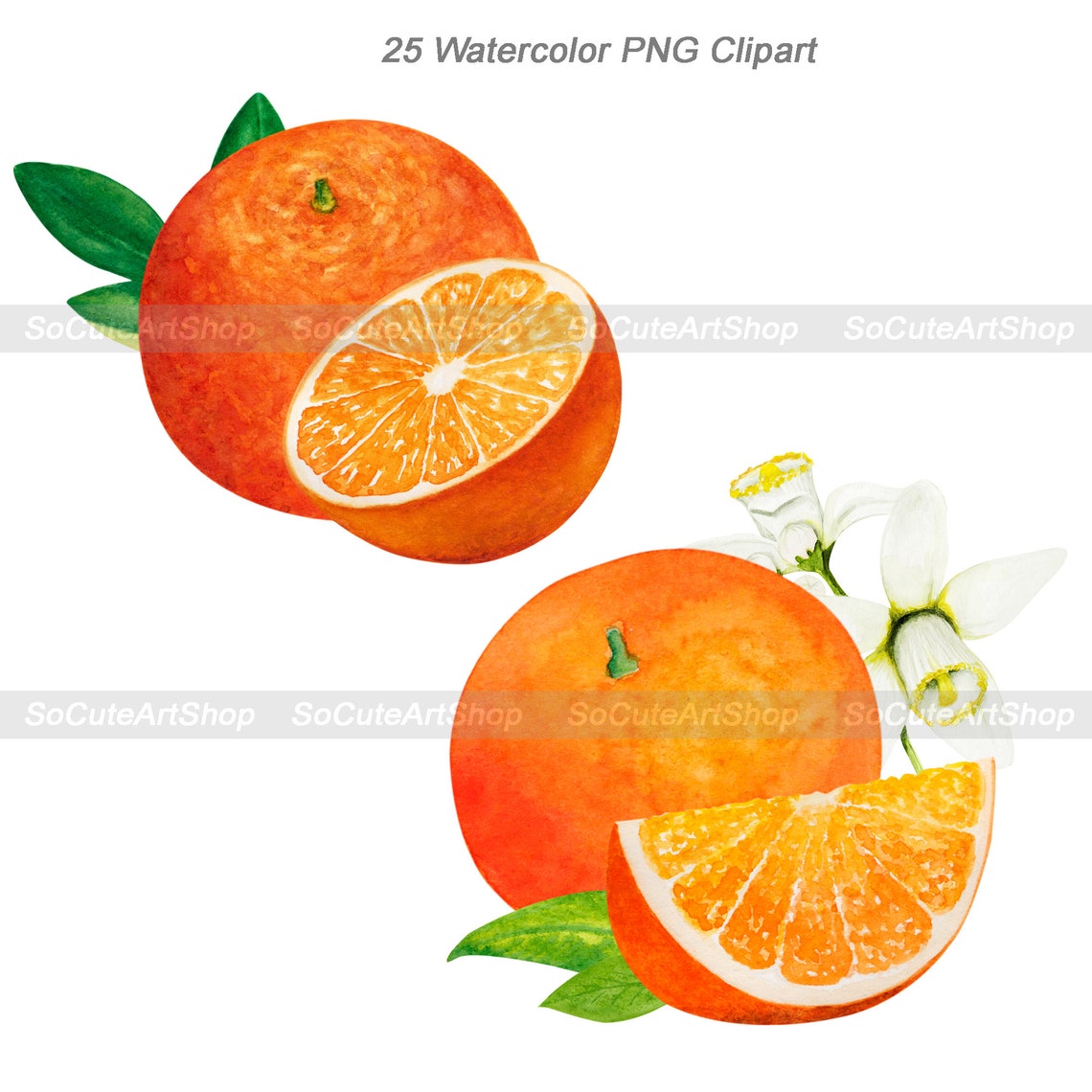 Watercolor Orange Clipart Set Hand Painted Clip Art PNG - Etsy