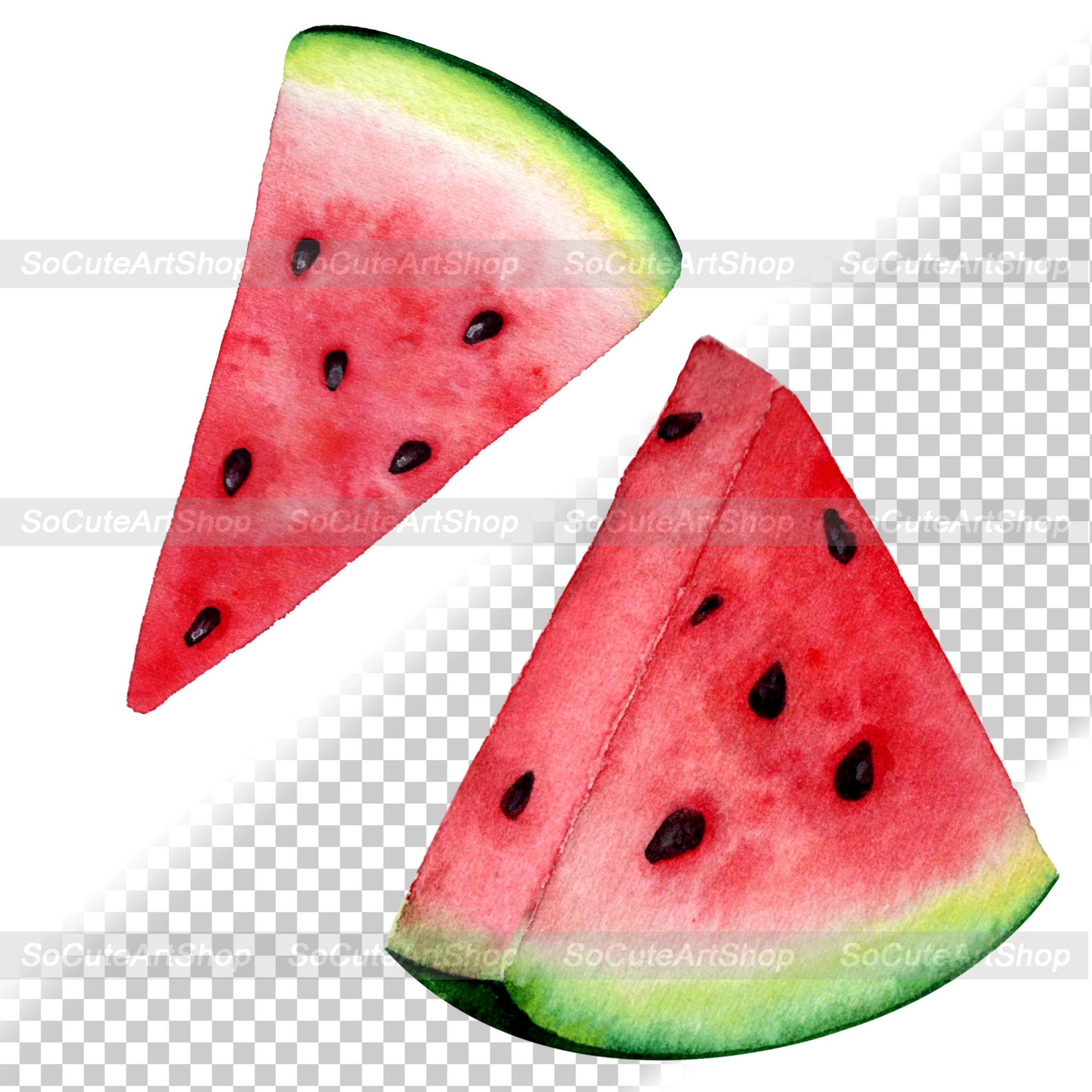 Watercolor Fruit Clipart Set Summer Tropical Fruits Clipart - Etsy