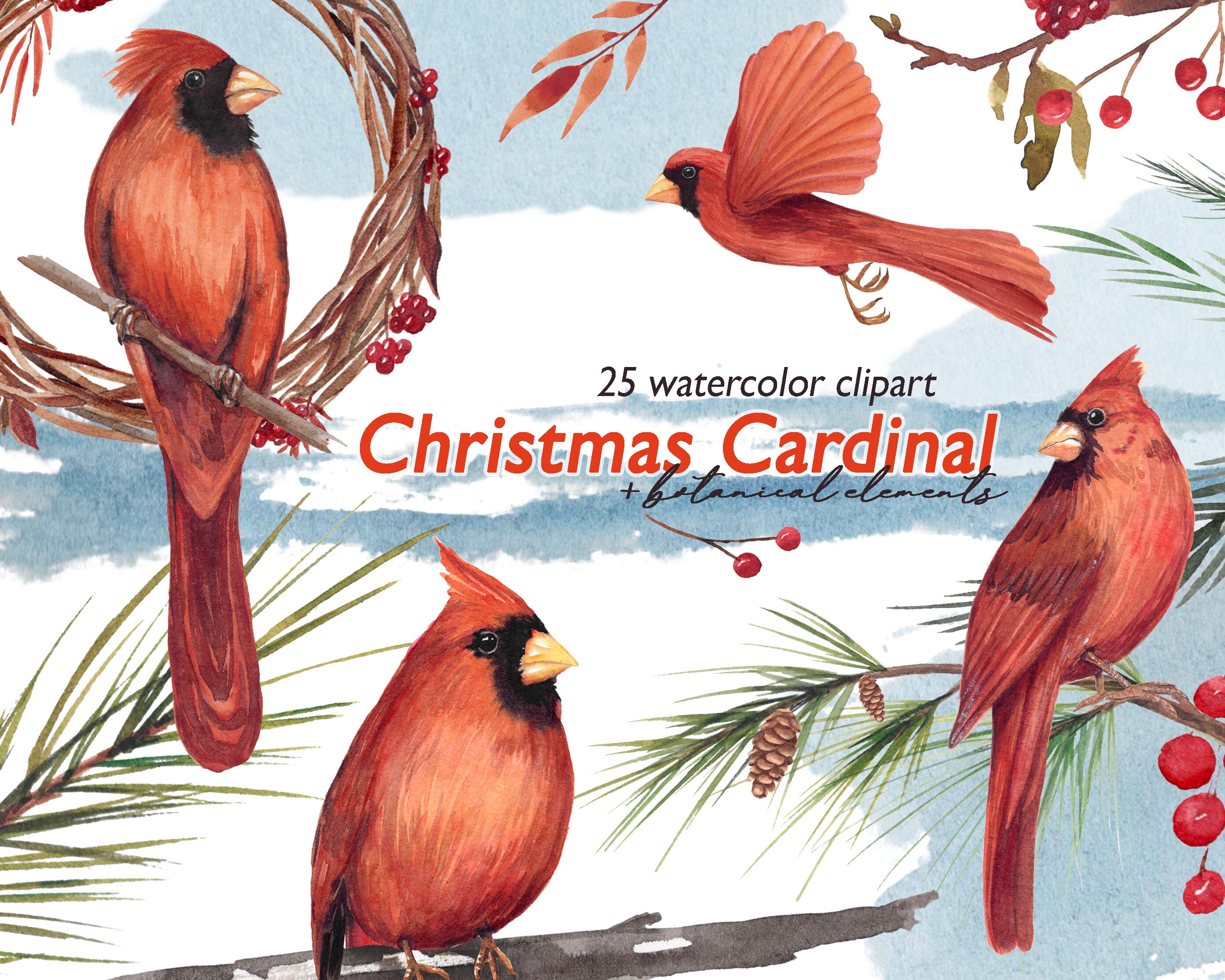 Watercolor Christmas Cardinal Clipart, Winter Red Birds Png Design ...