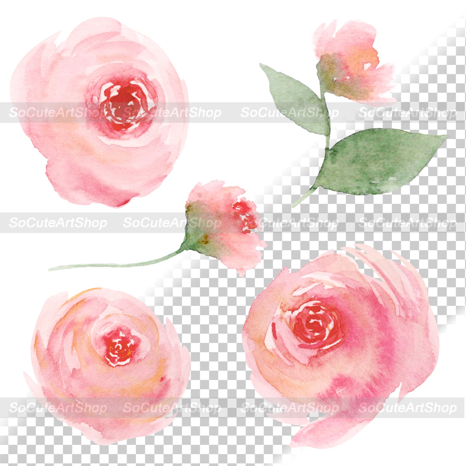 Watercolor Floral Clipart , Blush Pink Rose PNG, Summer Roses Clipart ...