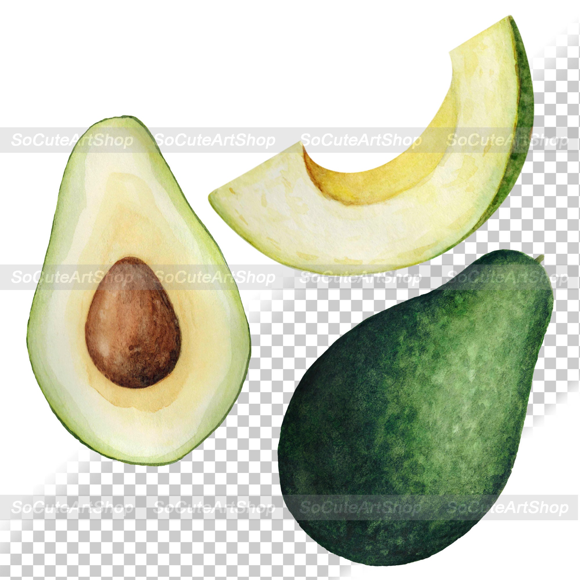 Watercolor Fruit Clipart Set Summer Tropical Fruits Clipart - Etsy