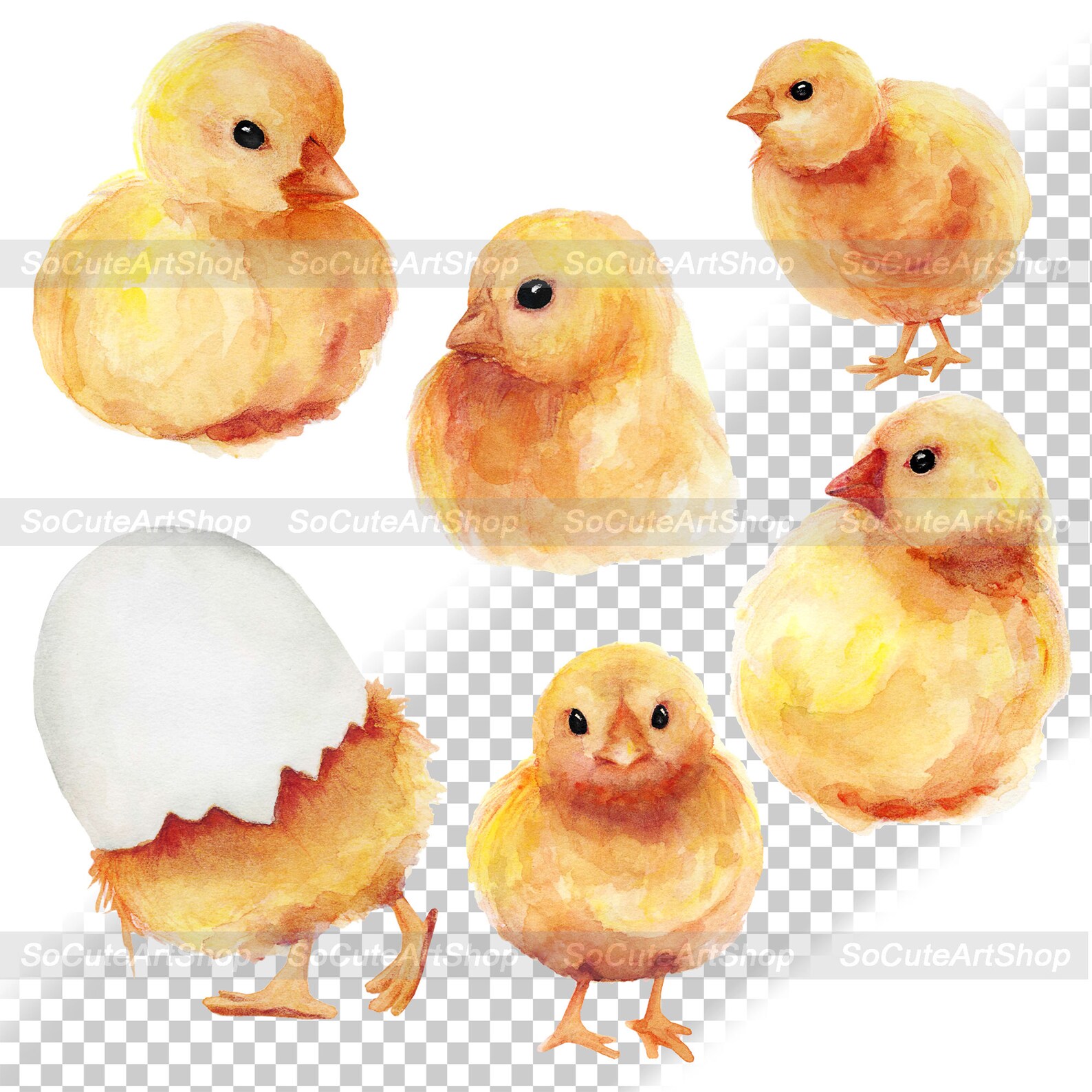 Watercolor Easter Clipart, Spring Floral Clipart, Baby Chicks, Easter ...