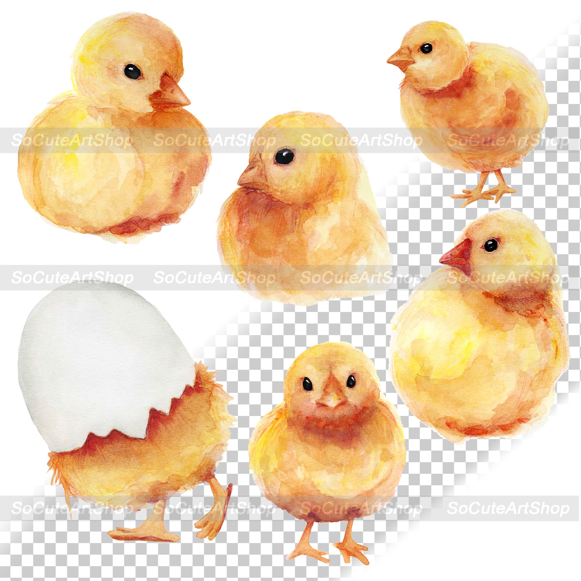 Watercolor Easter Clipart, Spring Floral Clipart, Baby Chicks, Easter ...
