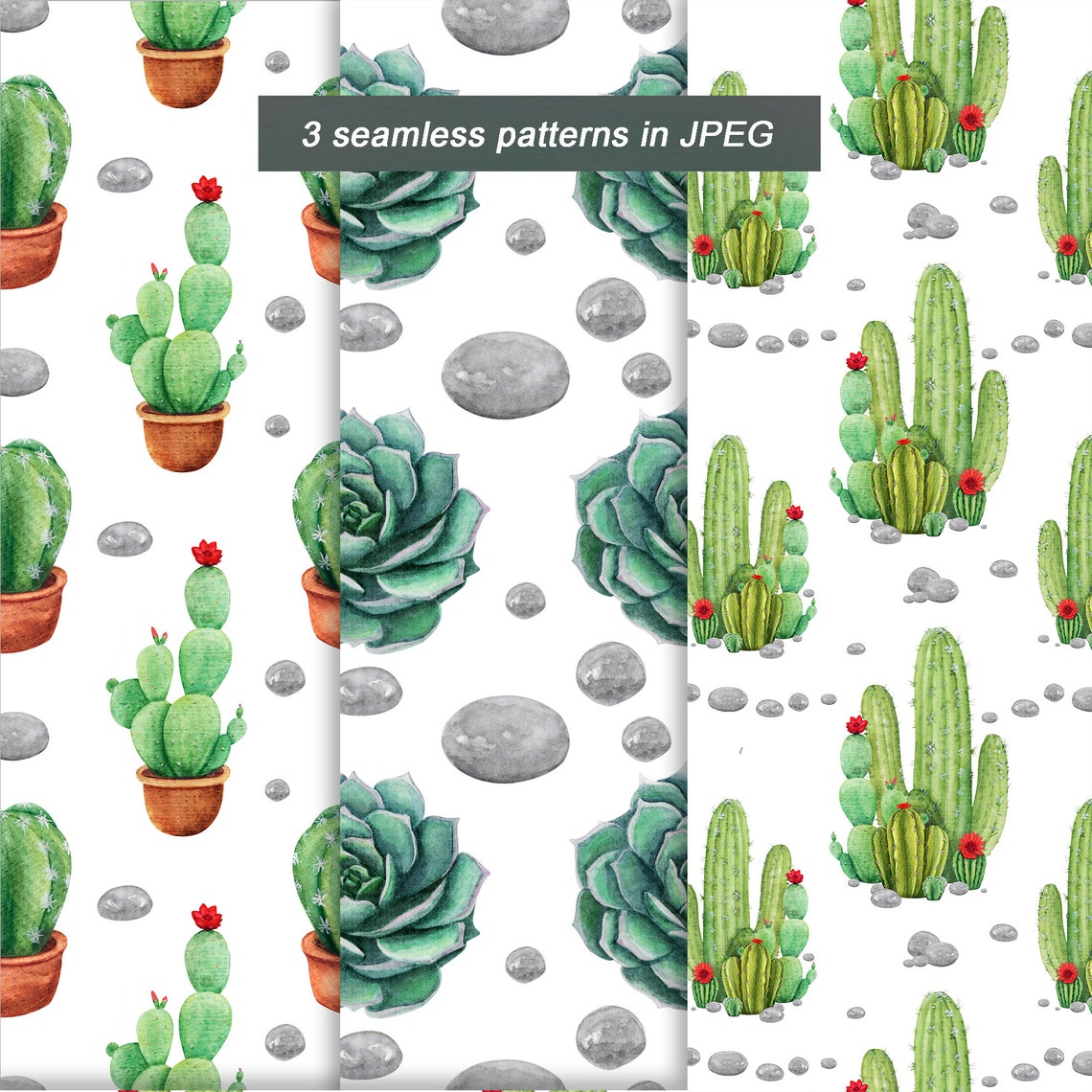 Watercolor Cactus Clipart Set Succulent Clip Art PNG | Etsy