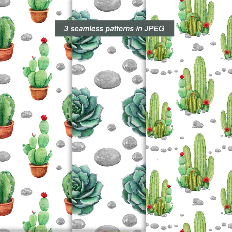Watercolor Cactus Clipart Set Succulent Clip Art PNG - Etsy