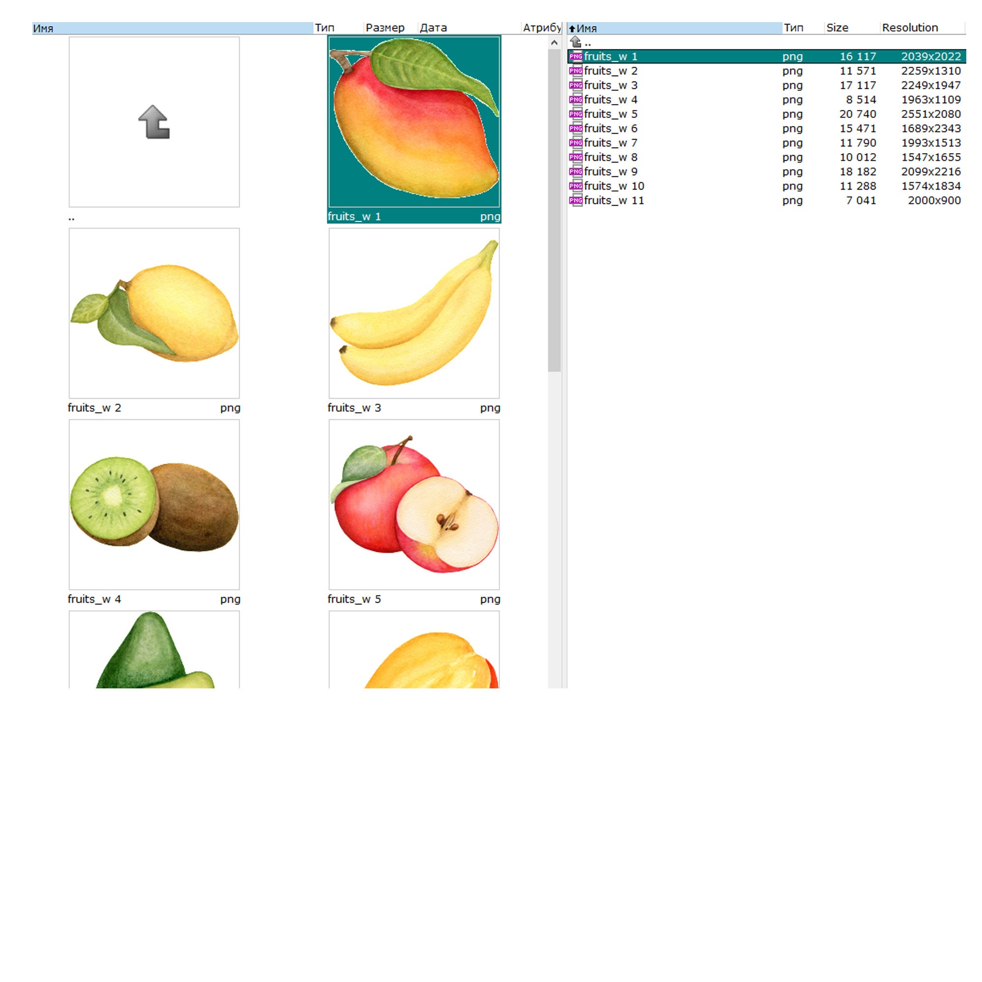 Watercolor Fruits Clipart: Pear Apple Mango Kiwi Avocado - Etsy