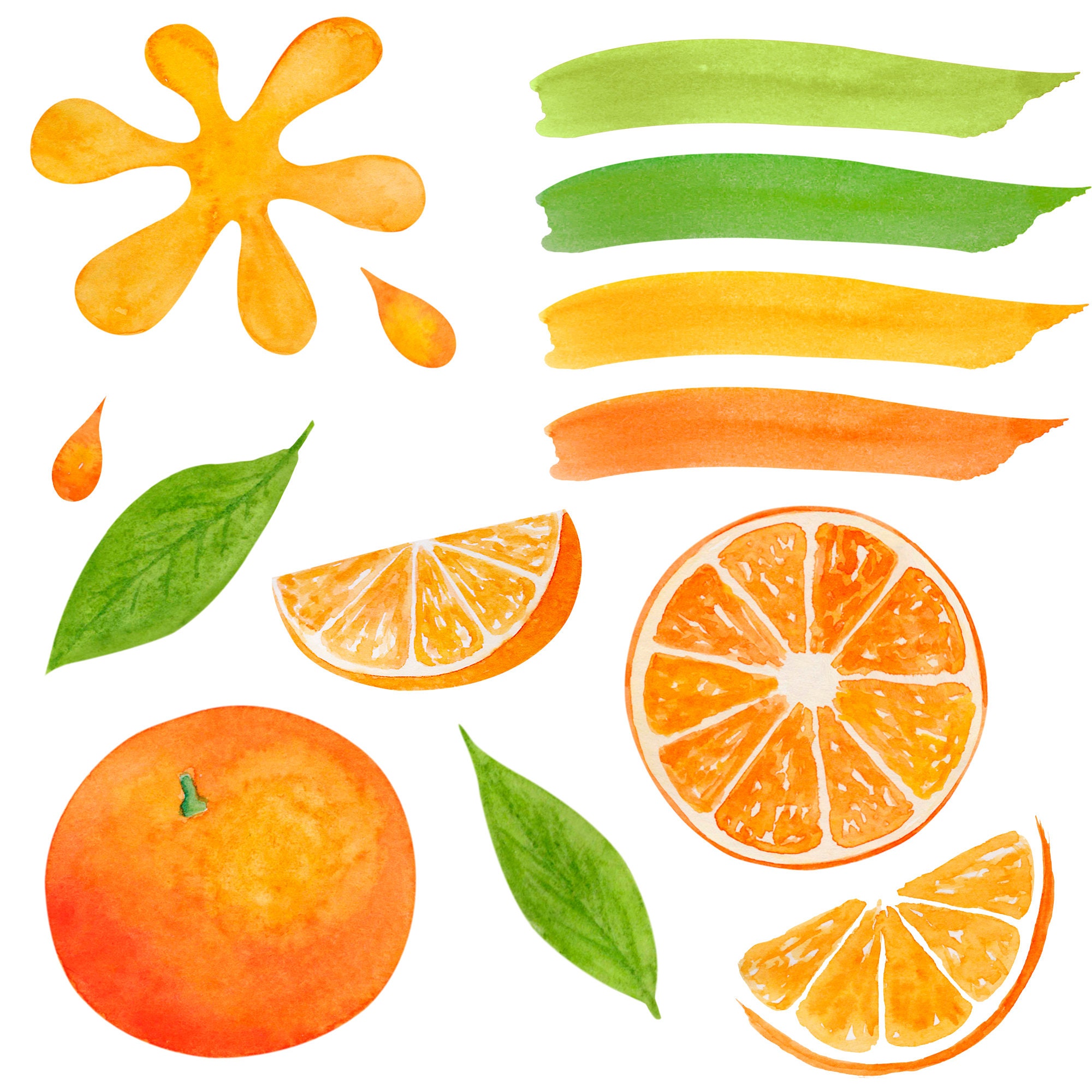 Watercolor Orange Clipart Set, Hand Painted Clip Art, PNG, Digital Clip ...