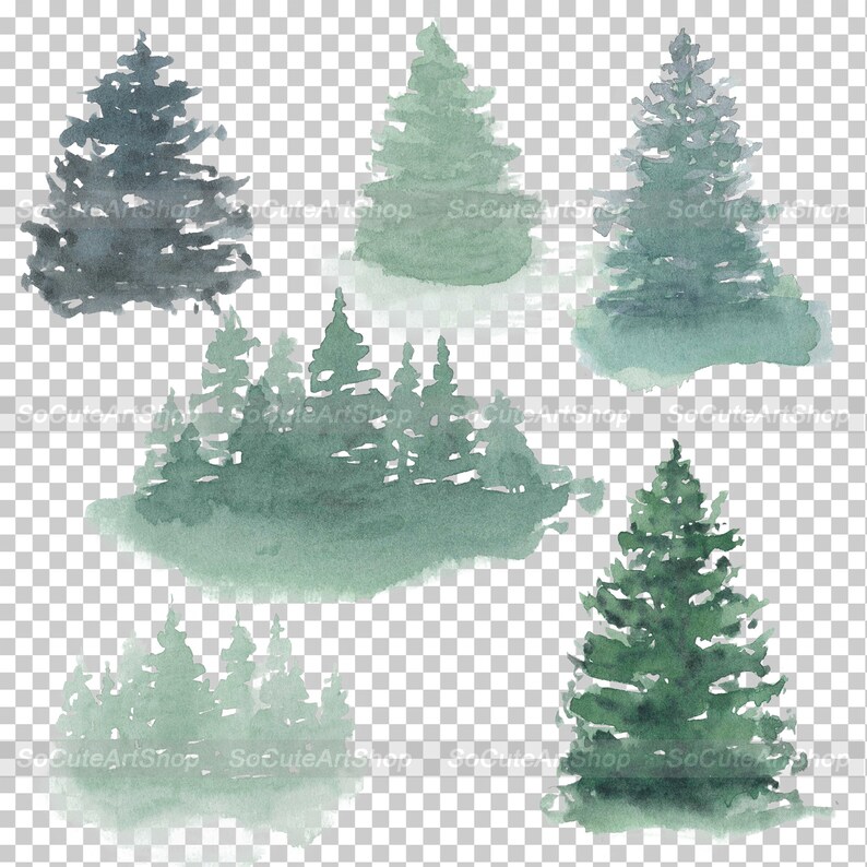 Watercolor Rustic Woodland Trees and Forest Pine Trees Png - Etsy