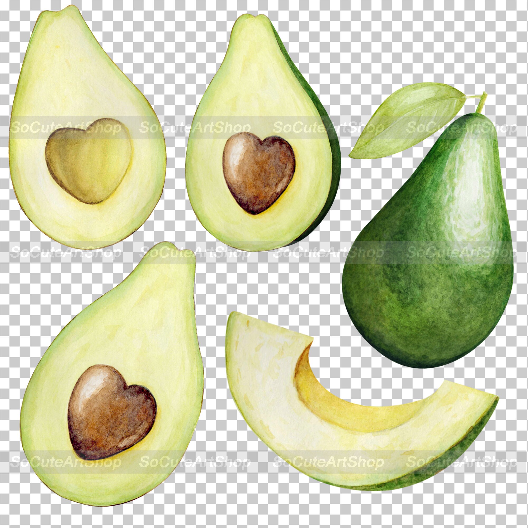 Watercolor Avocado Clipart Set, Hand Painted Clip Art, PNG, Digital ...