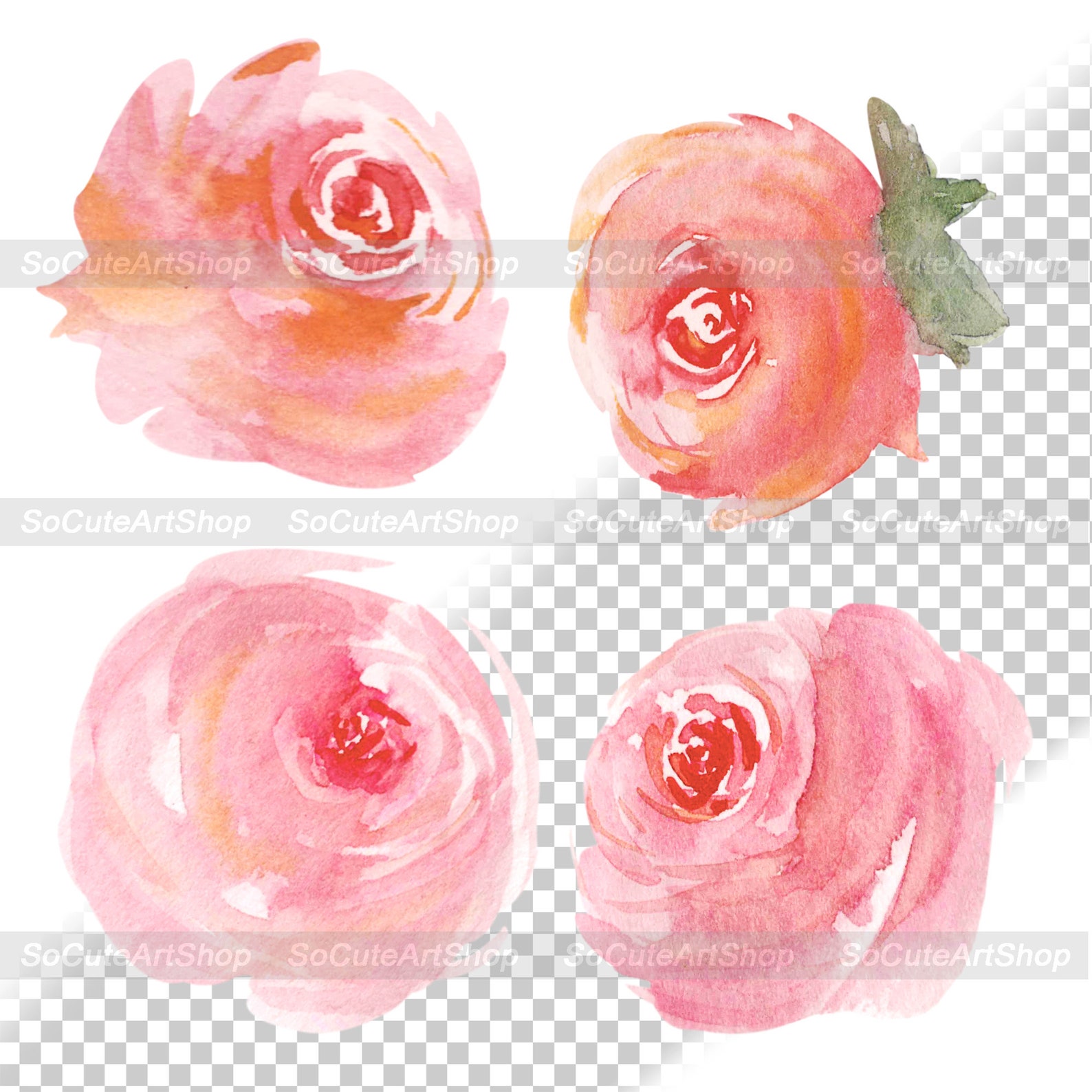 Watercolor Floral Clipart , Blush Pink Rose PNG, Summer Roses Clipart ...