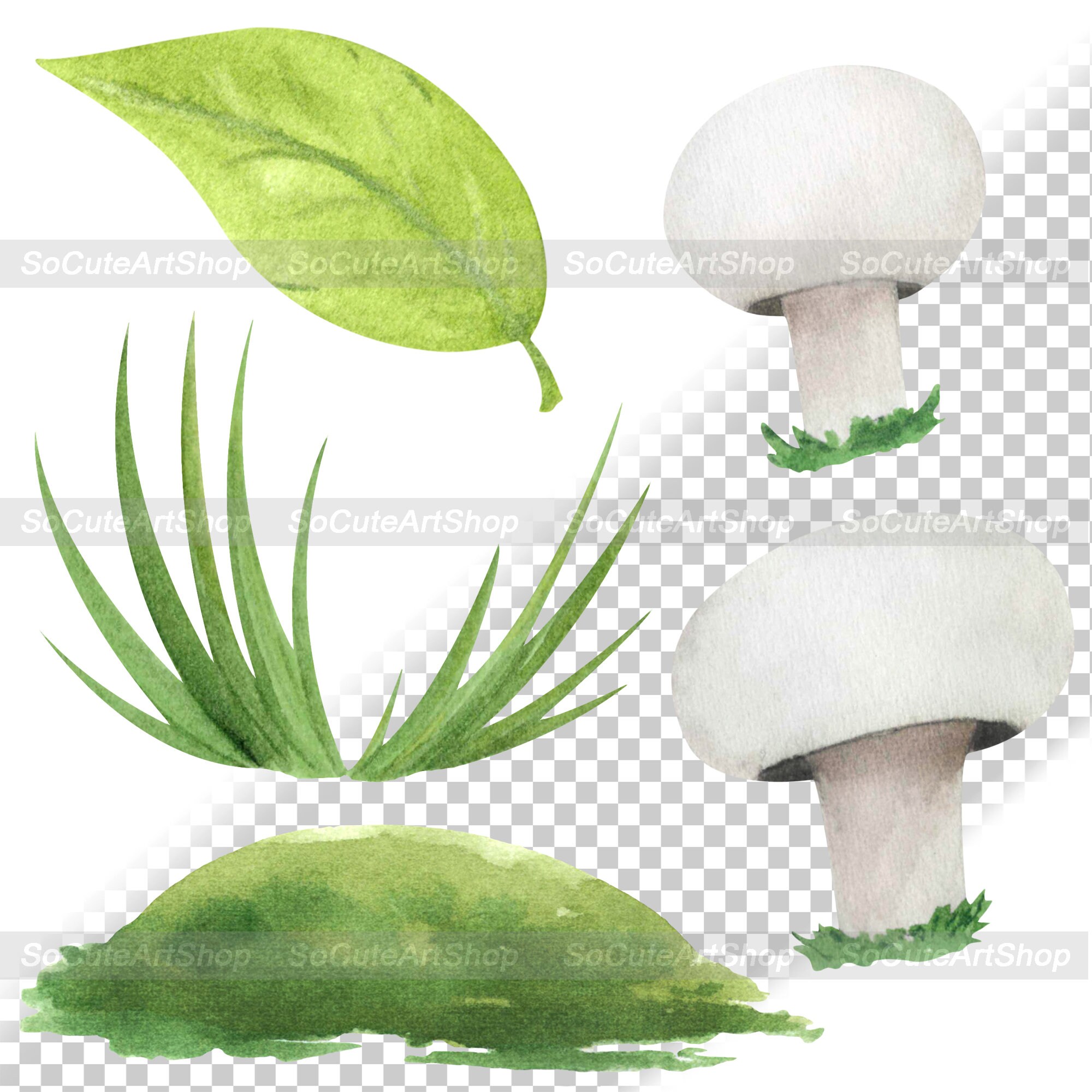 Watercolor Autumn Leaves and Mushrooms Clipart Fall Elements - Etsy