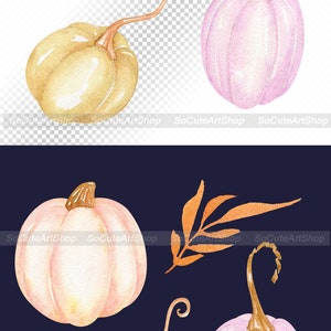 Pastel Pumpkins PNG Clipart. Watercolor Fall Clipart, Halloween, Autumn ...