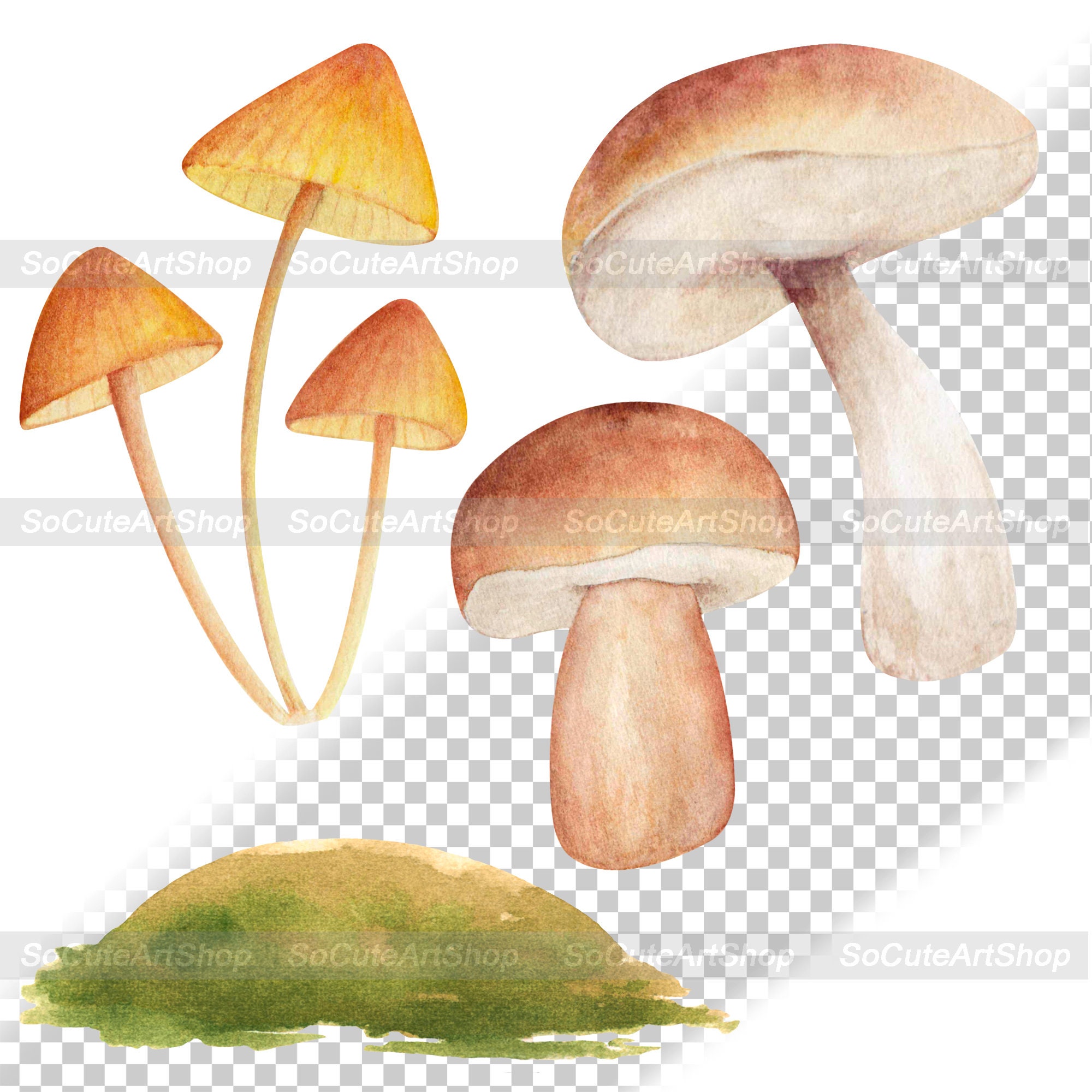 Watercolor Autumn Leaves and Mushrooms Clipart, Fall Elements Set ...