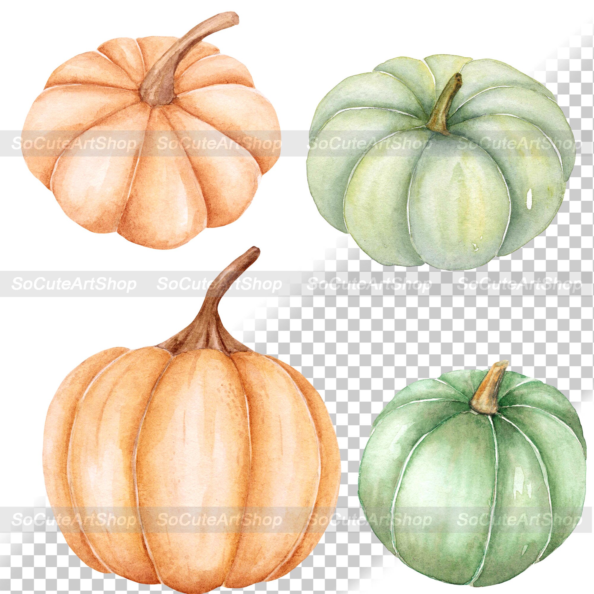 Watercolor Pumpkin Clipart Autumn Pumpkin Clip Art Fall - Etsy