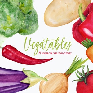 Watercolor Vegetable Clipart Set, Hand Painted Clip Art, PNG - Etsy