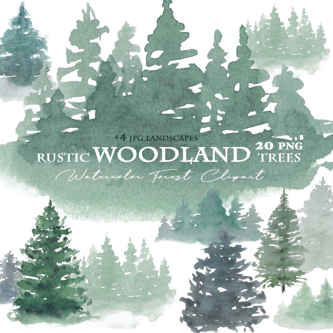 Watercolor Rustic Woodland Trees and Forest Pine Trees Png Clipart for ...