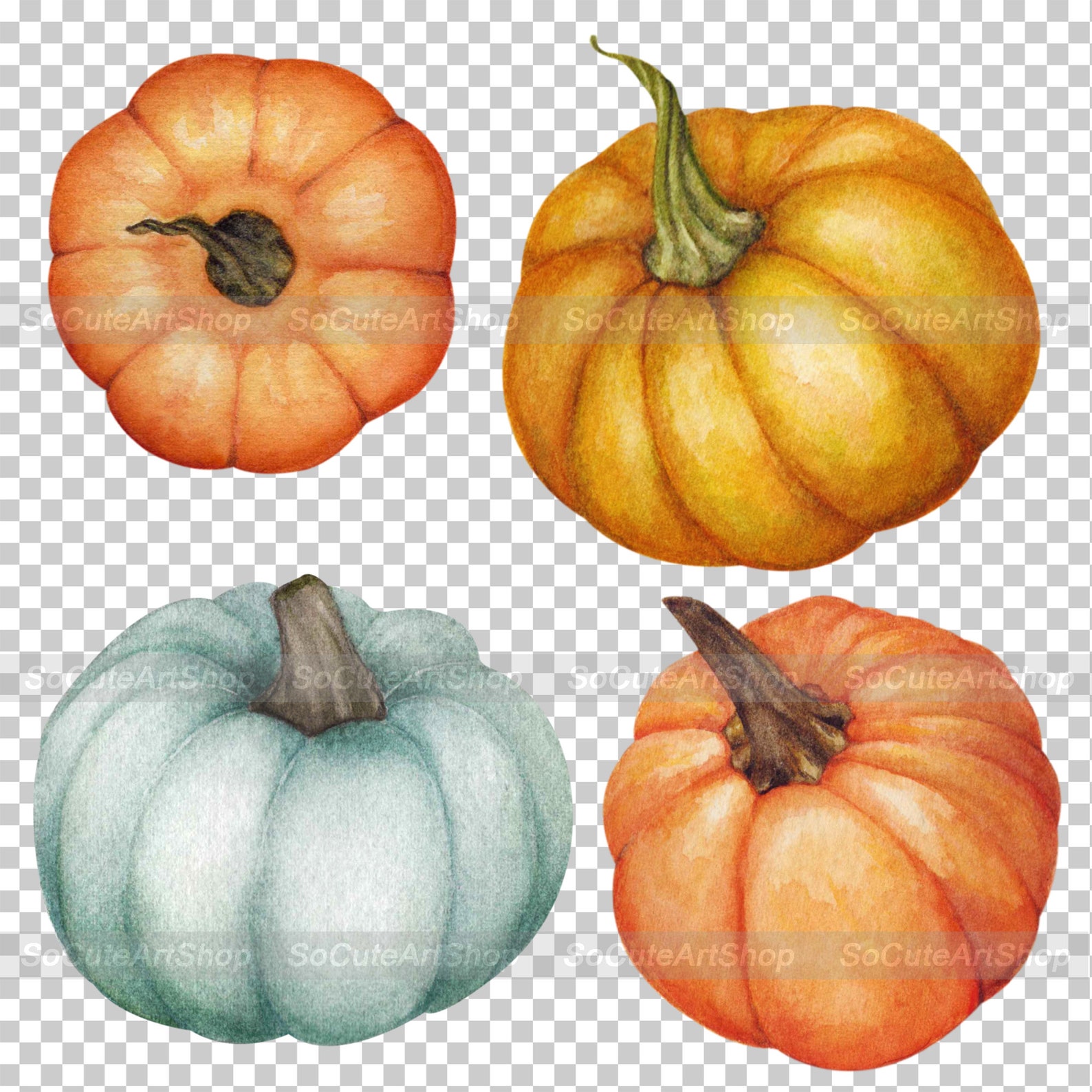 Watercolor Pumpkin Clipart, Halloween, Autumn Set, Fall Clipart ...