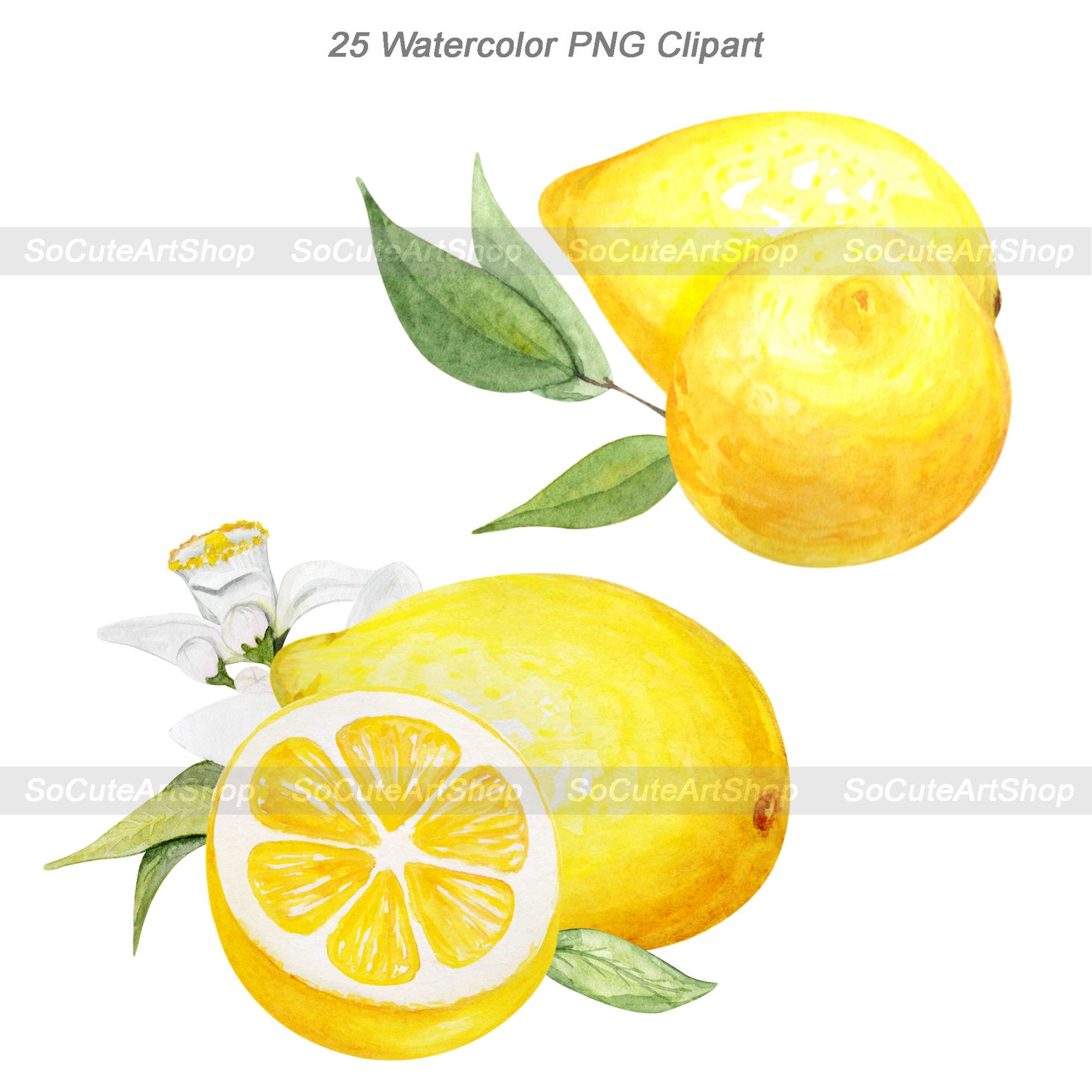 Watercolor Lemon Clipart Set,hand Painted Clip Art, PNG, Digital ...