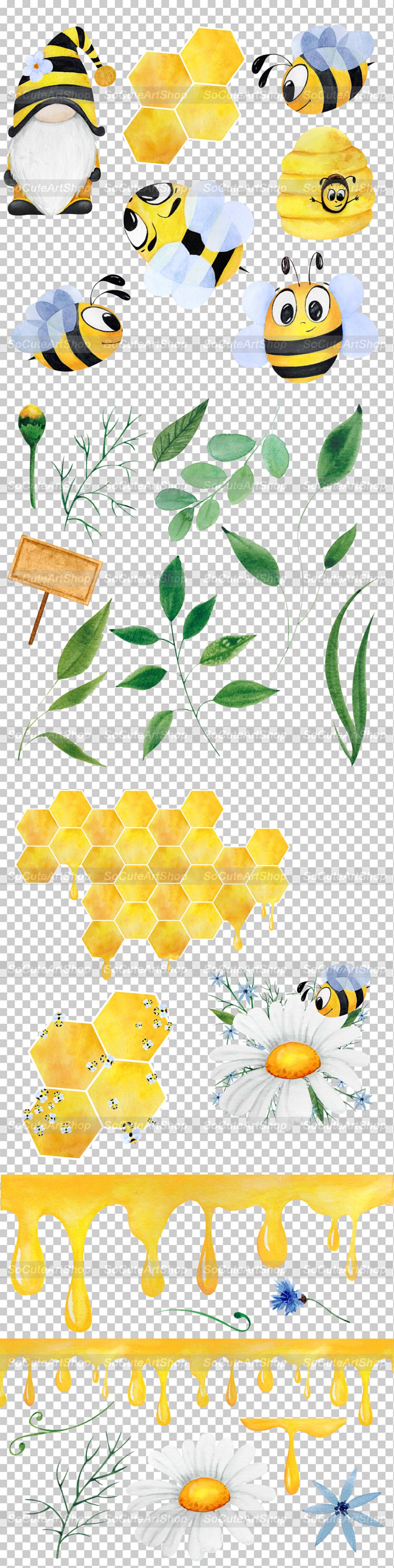 Watercolor Bee Clipart Png Clip Art Digital Summer Clipart - Etsy